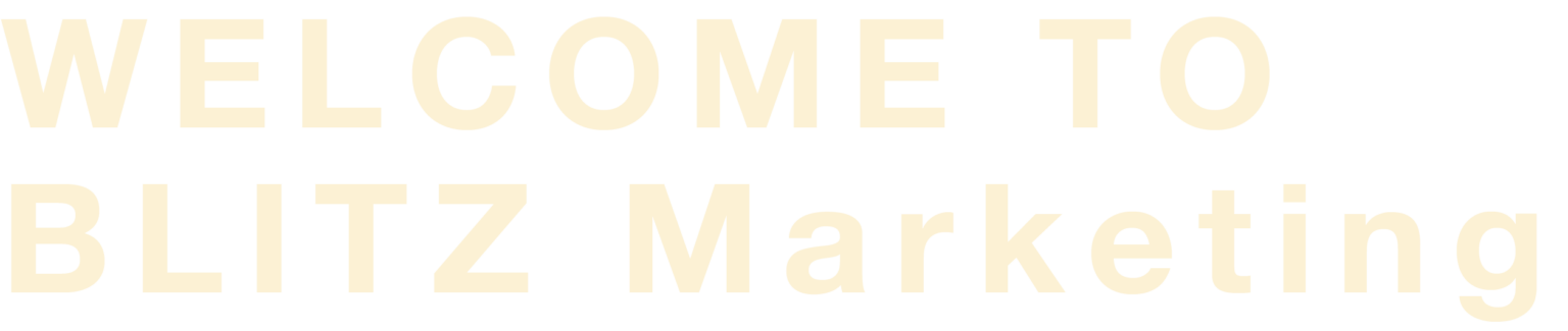 株式会社BLITZ Marketing - ブリッツマーケティング